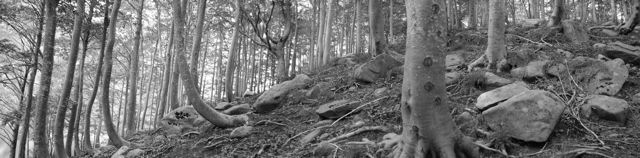 Past Photography – Jacob Cartwright